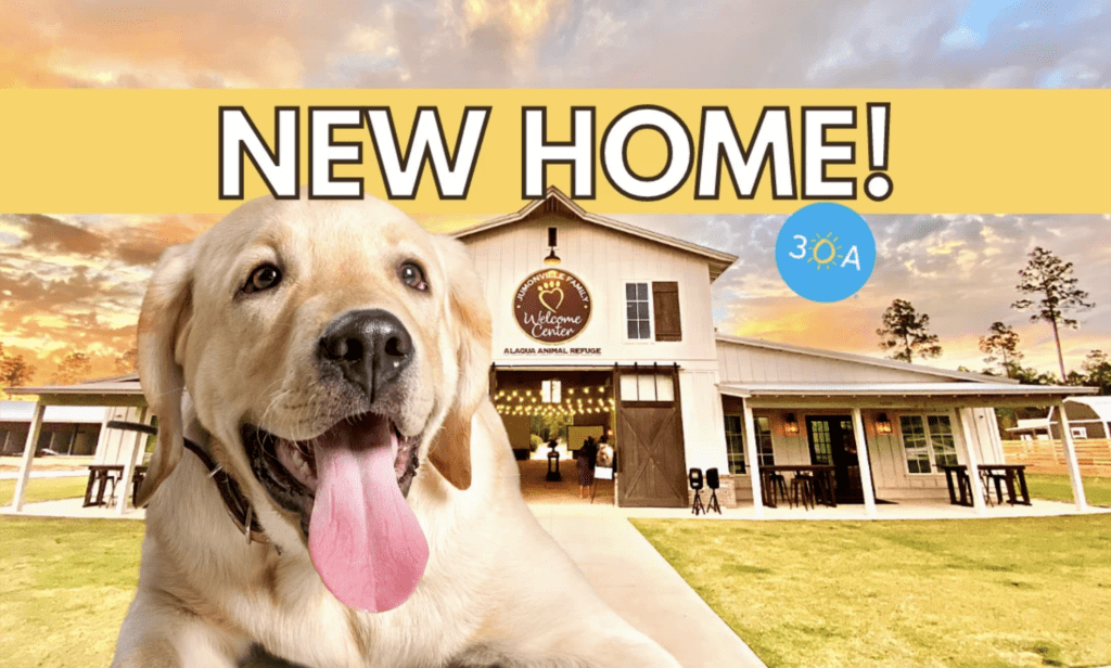 Alaqua Animal Refuge Commemorates Grand Opening of New Facility with ...