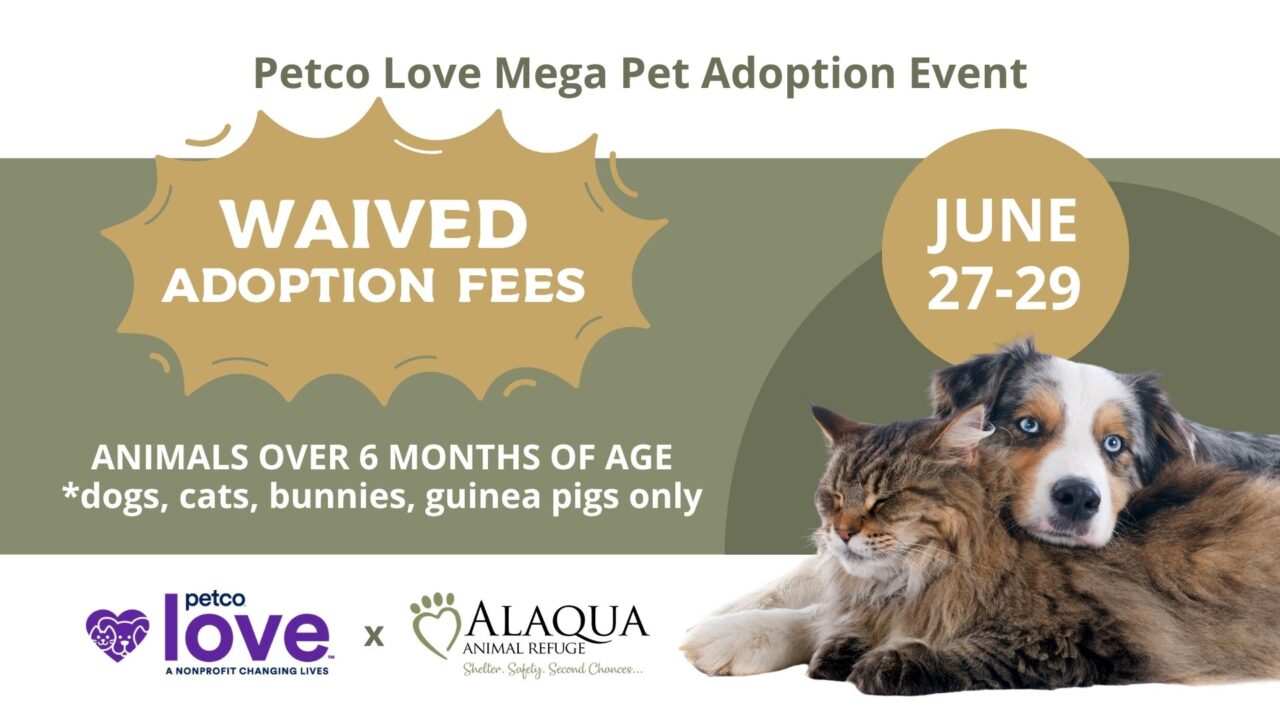 Alaqua Animal Refuge Adoption
